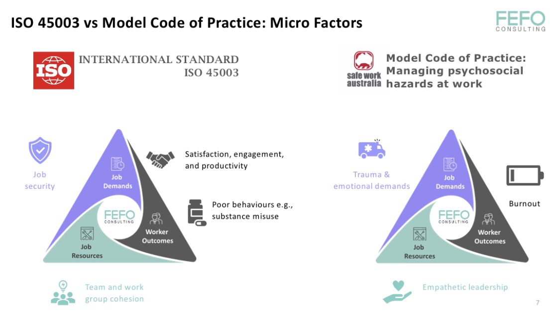 Psychosocial Risk Webinar Series - FEFO Consulting